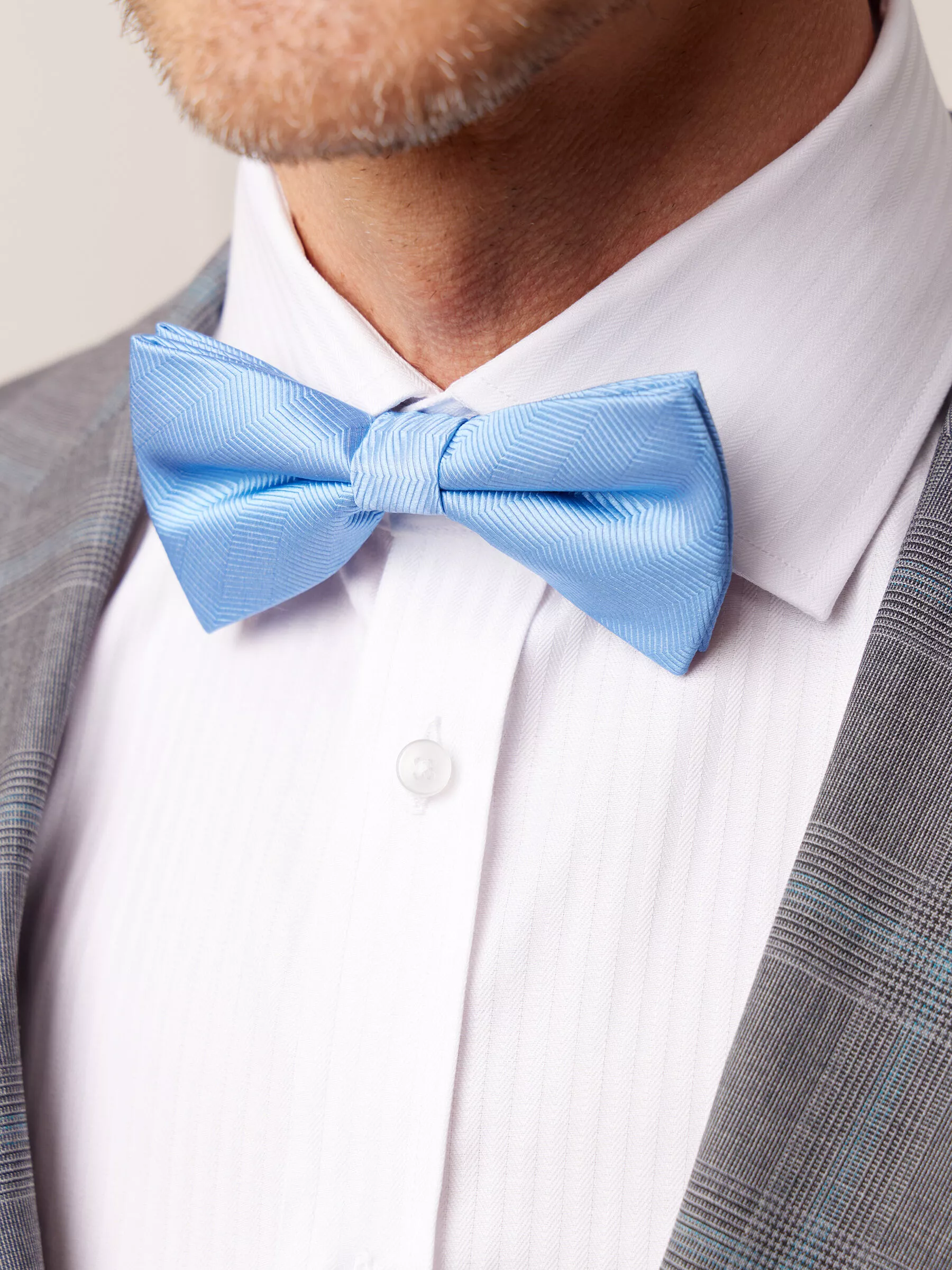 Niebieska mucha BYTOM | Bytom